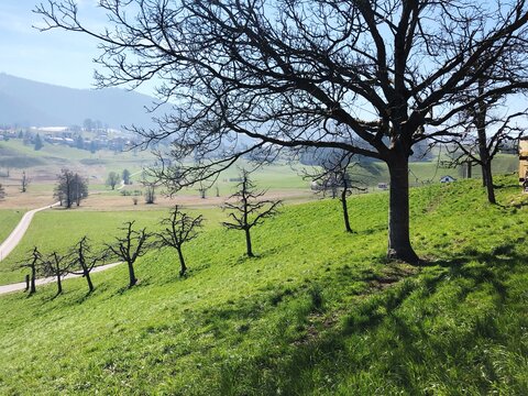 Seeli Bilder – Durchsuchen 182 Archivfotos, Vektorgrafiken und Videos ...
