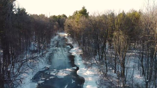 Bruno Video Footage – Browse 105 HD Stock Video and Footage | Adobe Stock