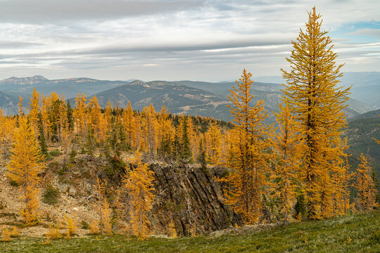 "Manning Park" Images – Browse 283 Stock Photos, Vectors, and Video ...