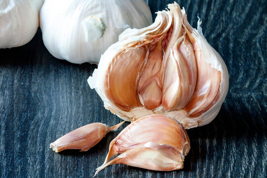 Imágenes de Peler: descubre bancos de fotos, ilustraciones, vectores y ...