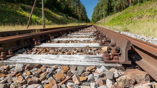 Straggly Bilder – Durchsuchen 39,502 Archivfotos, Vektorgrafiken und ...