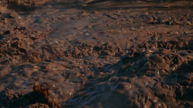 Sludge Images – Browse 40,004 Stock Photos, Vectors, and Video | Adobe ...