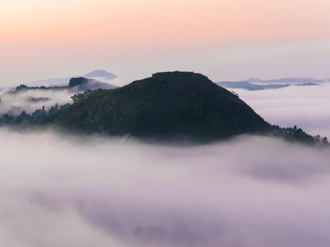 รูปภาพWayanad – เลือกดูภาพถ่ายสต็อก เวกเตอร์ และวิดีโอ1,034 | Adobe Stock
