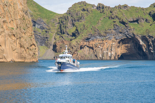 Teista Images – Browse 1 Stock Photos, Vectors, and Video | Adobe Stock