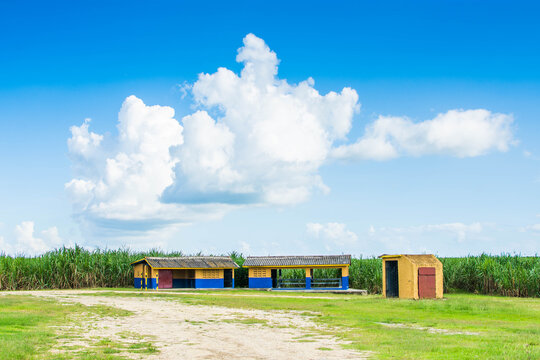 รูปภาพAzuca – เลือกดูภาพถ่ายสต็อก เวกเตอร์ และวิดีโอ13 | Adobe Stock