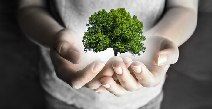 Hopeness Images – Browse 51 Stock Photos, Vectors, and Video | Adobe Stock