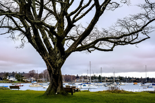 Recreation Images – Browse 4,722,536 Stock Photos, Vectors, and Video ...