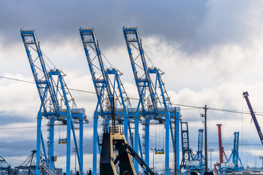 "Blue Crane" Images – Parcourir 2,106 le catalogue de photos, vecteurs ...