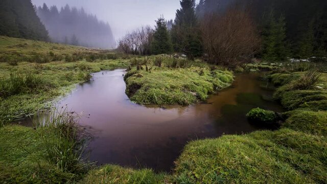 รูปภาพMeandre – เลือกดูภาพถ่ายสต็อก เวกเตอร์ และวิดีโอ81 | Adobe Stock