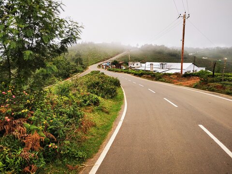 Manjoor bilder – Bläddra bland 34 stockfoton, vektorer och videor ...