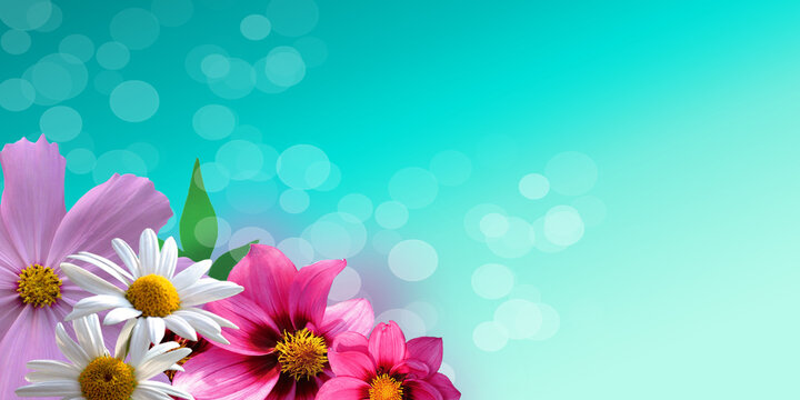 Primavera Images – Browse 666,890 Stock Photos, Vectors, and Video ...