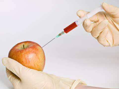 Genmanipuliert bilder – Bläddra bland 642 stockfoton, vektorer och ...