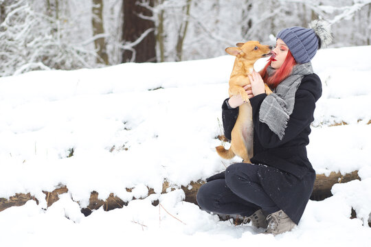 รูปภาพSnovy – เลือกดูภาพถ่ายสต็อก เวกเตอร์ และวิดีโอ306 | Adobe Stock