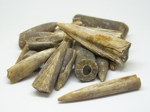 Donnerkeile Bilder – Durchsuchen 149 Archivfotos, Vektorgrafiken und ...