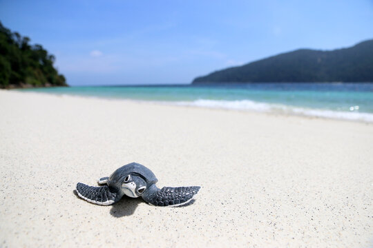 White Beach Images – Browse 6,098,091 Stock Photos, Vectors, and Video ...