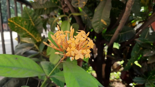 รูปภาพPonna – เลือกดูภาพถ่ายสต็อก เวกเตอร์ และวิดีโอ250 | Adobe Stock