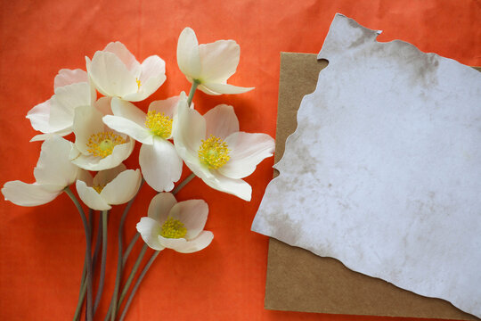 "Craft Background" Images – Browse 431 Stock Photos, Vectors, and Video ...