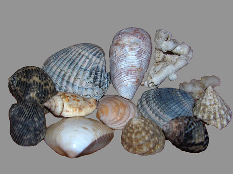 Geldeintreiber Bilder – Durchsuchen 6,056 Archivfotos, Vektorgrafiken ...