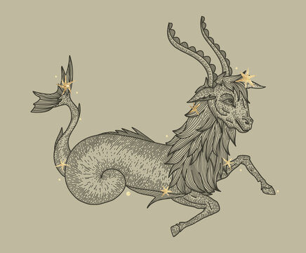 Hippocentaur bilder – Bläddra bland 6,557 stockfoton, vektorer och ...