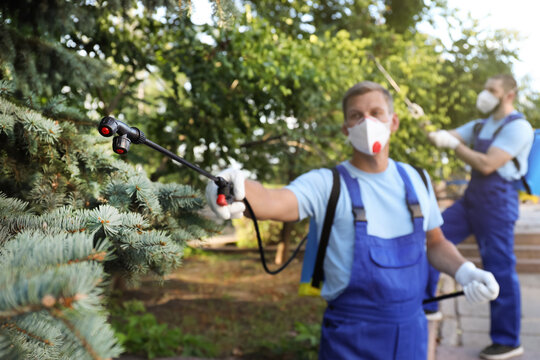 Tree Spraying Images – Browse 83,460 Stock Photos, Vectors, and Video ...