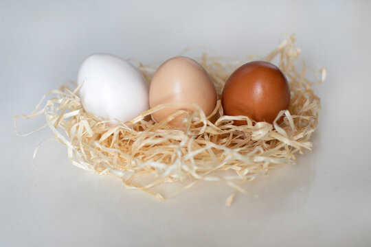 รูปภาพAmlet – เลือกดูภาพถ่ายสต็อก เวกเตอร์ และวิดีโอ174 | Adobe Stock