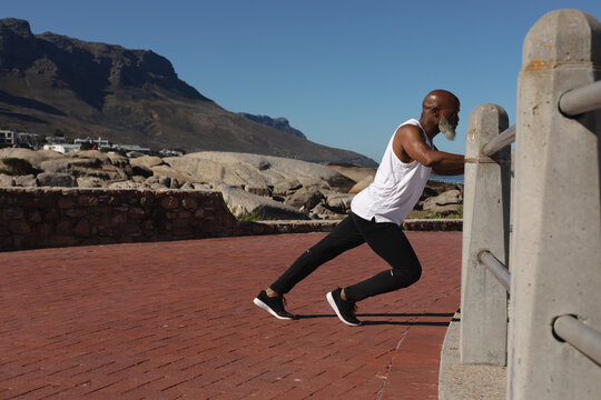 34 BEST Femce IMAGES, STOCK PHOTOS & VECTORS | Adobe Stock