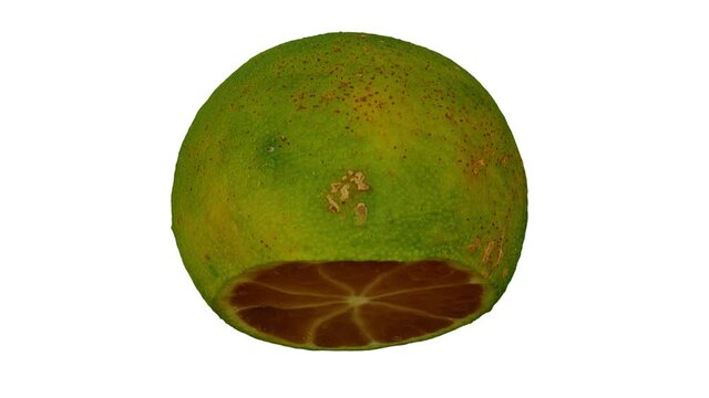 Kalamansi Images – Browse 2,940 Stock Photos, Vectors, and Video ...