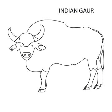 "Indian Gaur" Images – Browse 2,642 Stock Photos, Vectors, and Video ...