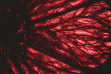 15+ Free Red Led Wallpaper - Pikwizard