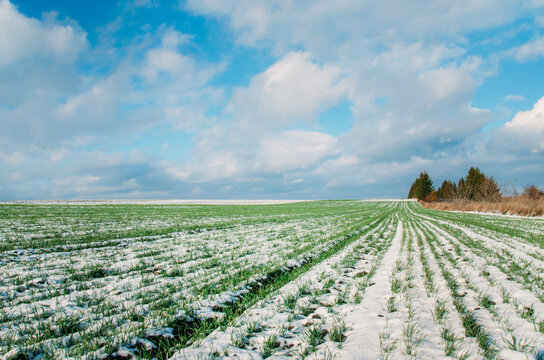 107,511 BESTE Weidewirtschaft BILDER, STOCK-FOTOS & -VEKTORGRAFIKEN ...
