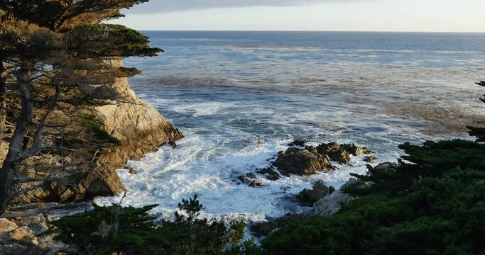 "Lone Cypress" Bilder – Durchsuchen 88 Archivfotos, Vektorgrafiken und ...