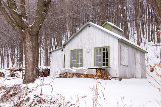 Sugar Shack"」の写真素材 | 563件の無料イラスト画像 | Adobe Stock