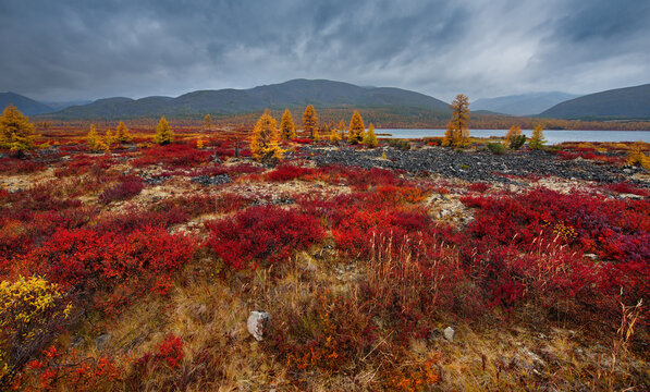 Imagens de Jakuck – Explore Fotografias do Stock, Vetores e Vídeos de ...