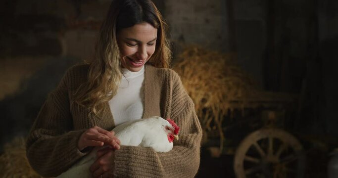 Hen Video Footage – Browse 36,799 HD Stock Video and Footage | Adobe Stock