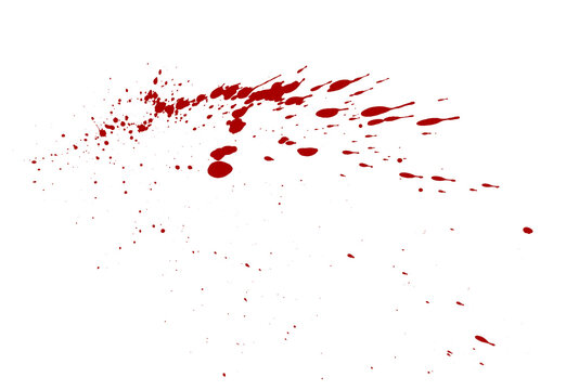 Free Blood Images – Browse 6,262 Free Stock Photos, Vectors, and Video ...