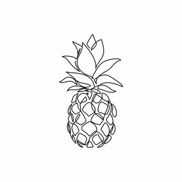 Pineapple Line Drawing Images – Browse 14,870 Stock Photos, Vectors ...