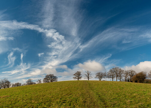 「Weald」の画像 - 1,556 件の Stock 写真、ベクターおよびビデオ | Adobe Stock