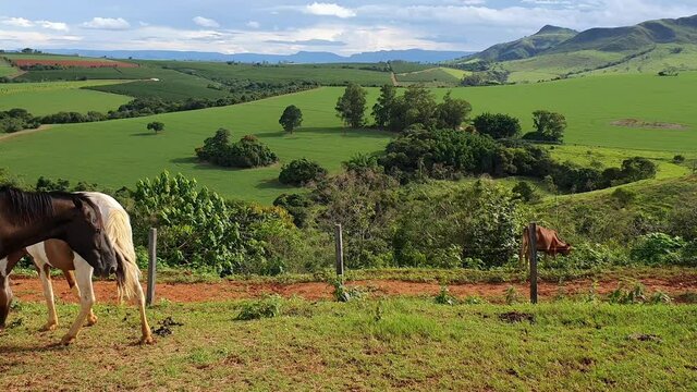 "Animals Breeding" Imagens – Procure 218 fotos, vetores e vídeos ...