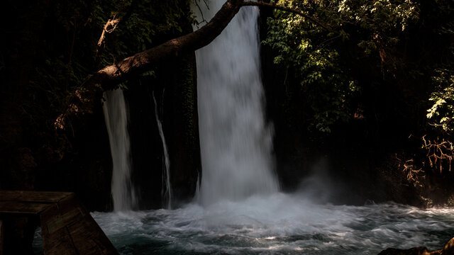 รูปภาพPanias – เลือกดูภาพถ่ายสต็อก เวกเตอร์ และวิดีโอ1,215 | Adobe Stock