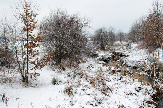 รูปภาพRivulet – เลือกดูภาพถ่ายสต็อก เวกเตอร์ และวิดีโอ80,811 | Adobe Stock