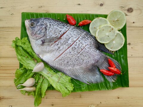 Gurame Images – Browse 76 Stock Photos, Vectors, and Video | Adobe Stock