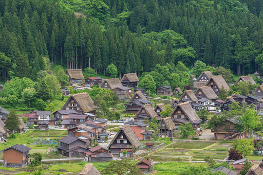 รูปภาพZukuri – เลือกดูภาพถ่ายสต็อก เวกเตอร์ และวิดีโอ1,508 | Adobe Stock