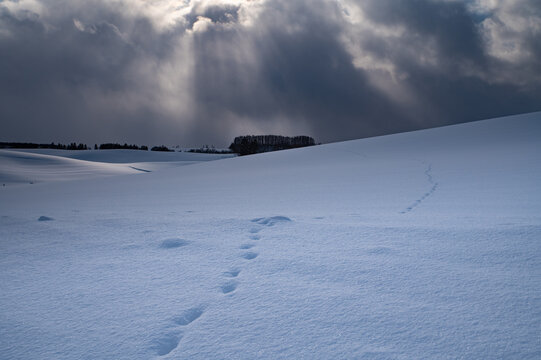 Irradier Images – Parcourir 7,483 le catalogue de photos, vecteurs et ...