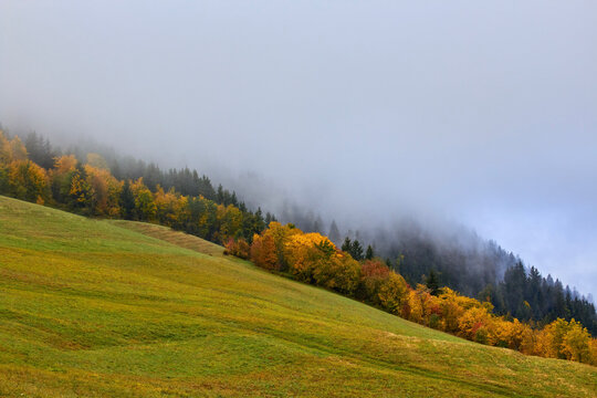 Arvan Images – Browse 32 Stock Photos, Vectors, and Video | Adobe Stock