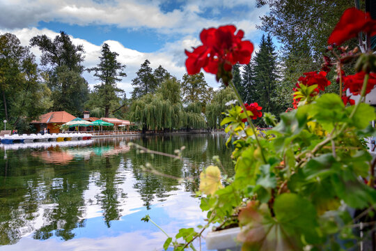 รูปภาพVelingrad – เลือกดูภาพถ่ายสต็อก เวกเตอร์ และวิดีโอ381 | Adobe Stock
