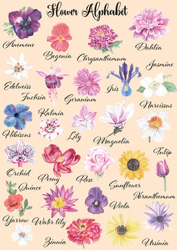 A Alphabet In Flower