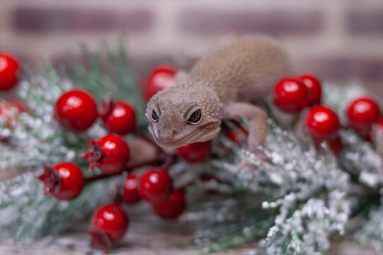 Patternless Images – Browse 148 Stock Photos, Vectors, and Video ...