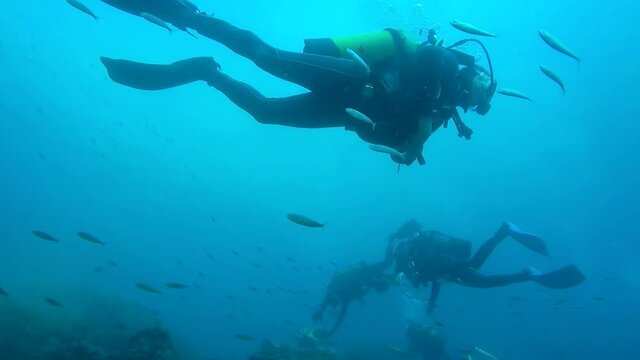 Submarinismo bilder – Bläddra bland 1,992 stockfoton, vektorer och ...