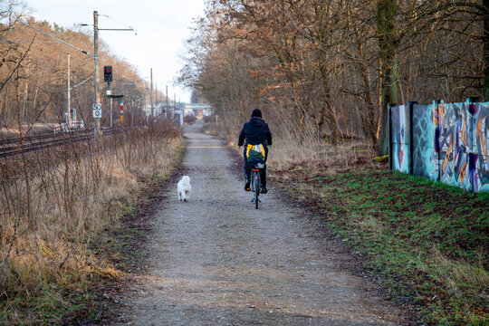 "Walking The Dog" Bilder – Durchsuchen 2,397 Archivfotos ...