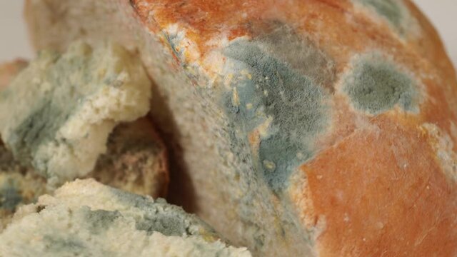 Unfresh Images – Browse 305 Stock Photos, Vectors, and Video | Adobe Stock